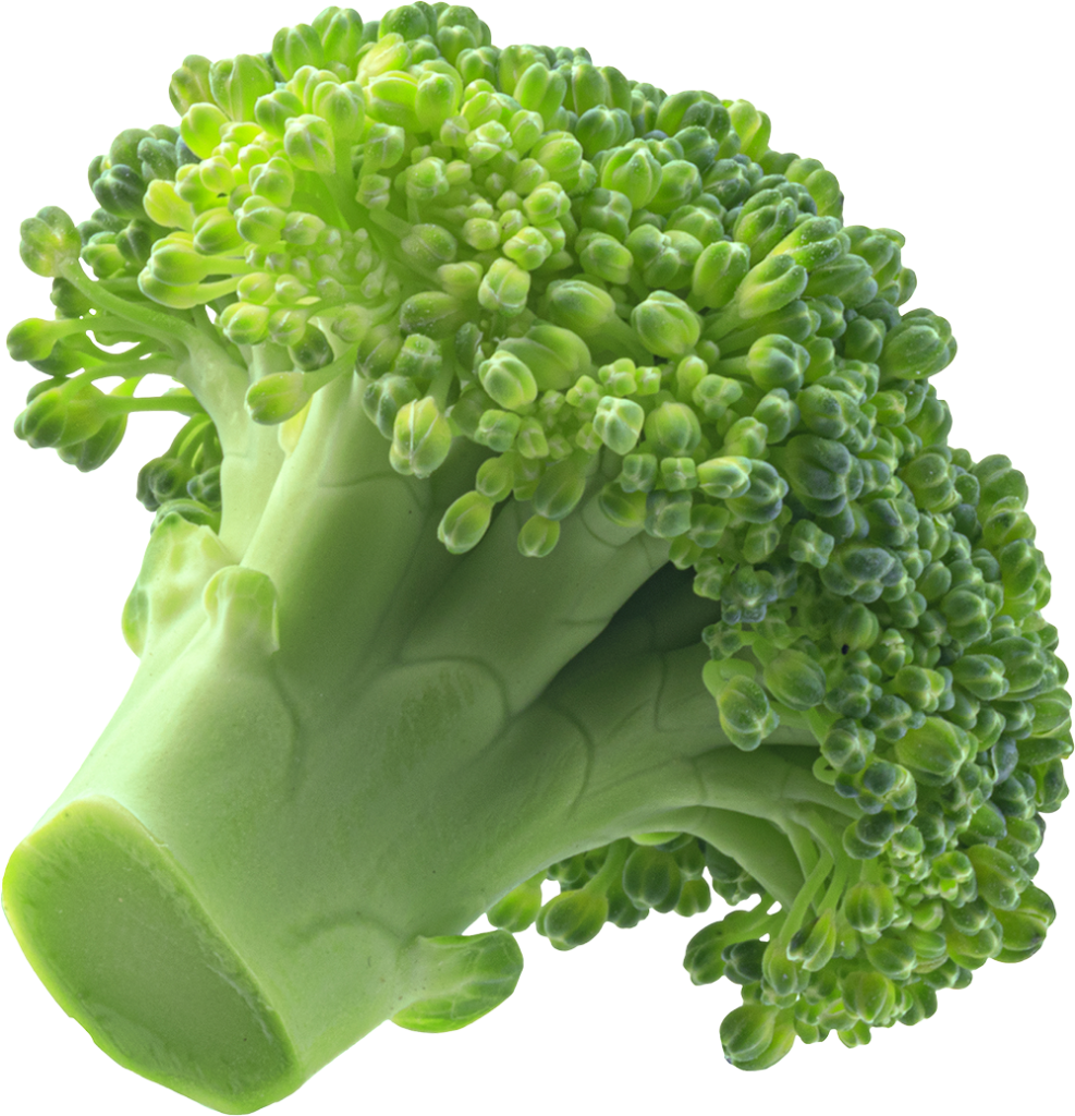 BElixz LIVCORE - BE International Sdn Bhd